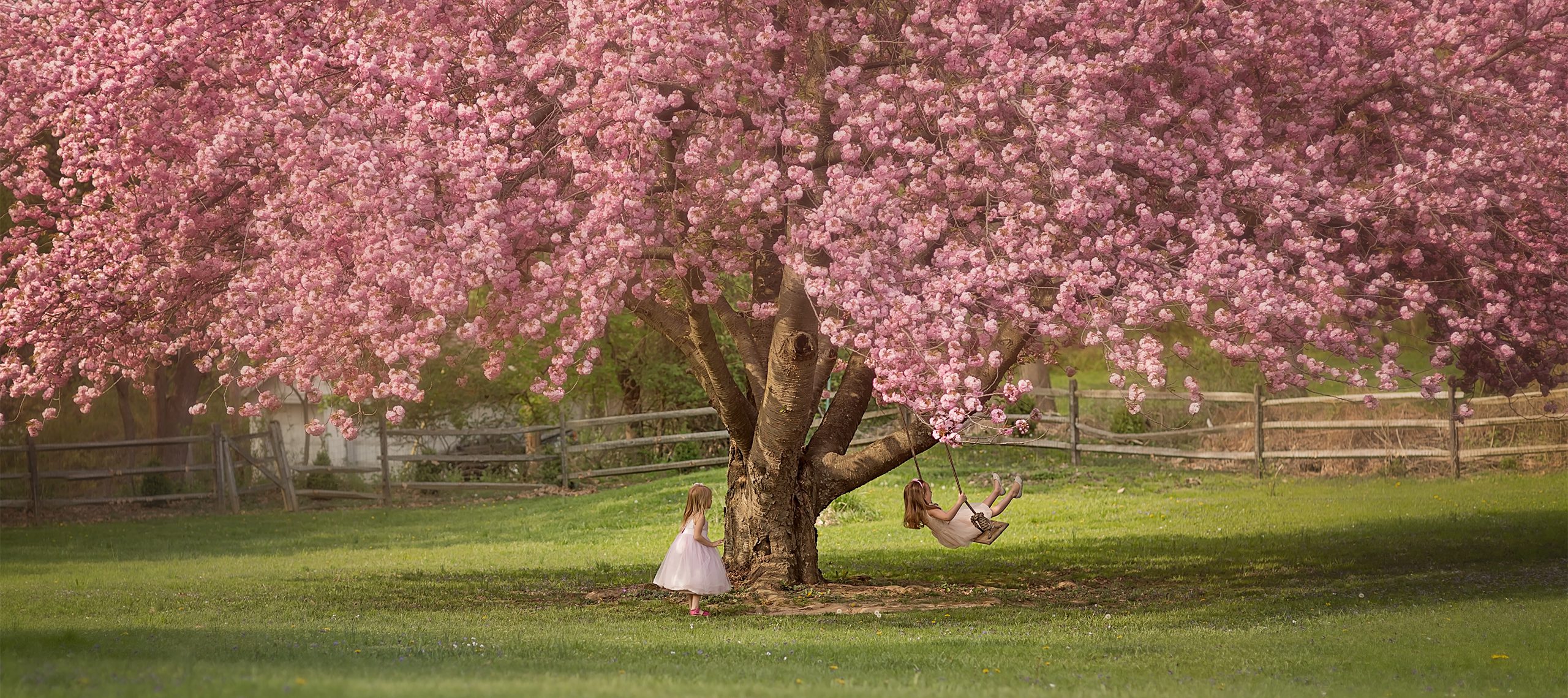 Mini Sessions » West Chester, PA Newborn and Family Photographer ...